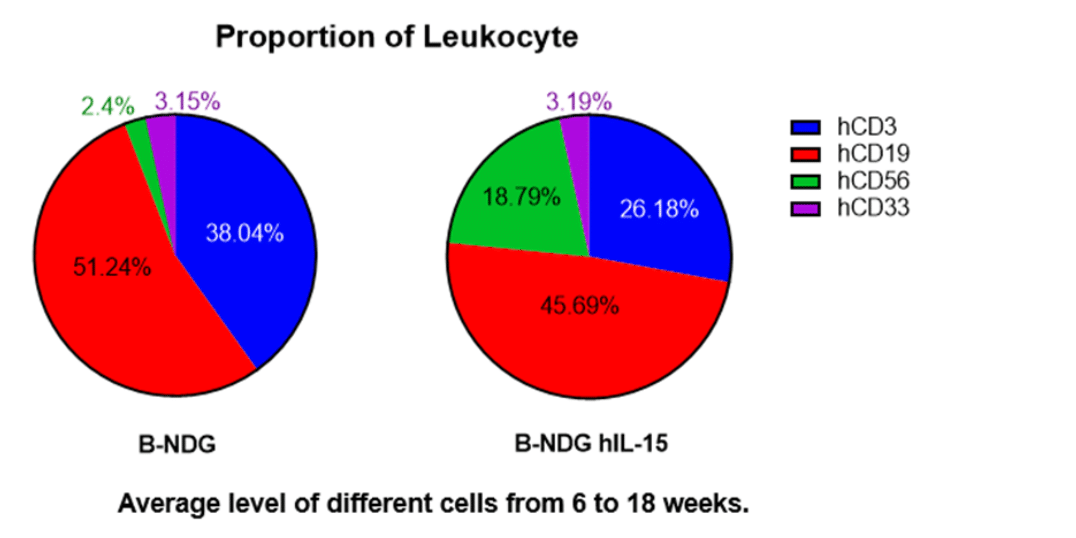 Immune system-reconstituted models for immuno-oncology research ...