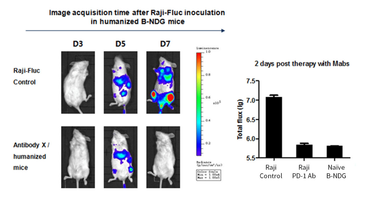 Immune system-reconstituted models for immuno-oncology research ...