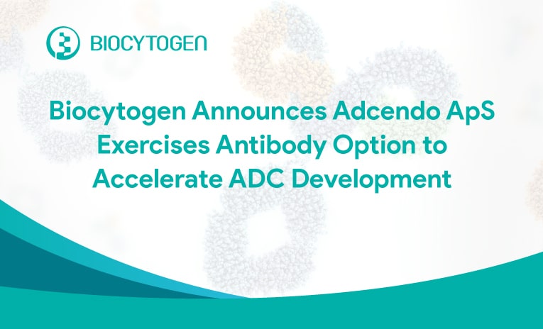 Biocytogen Announces Adcendo ApS Exercises Antibody Option to ...