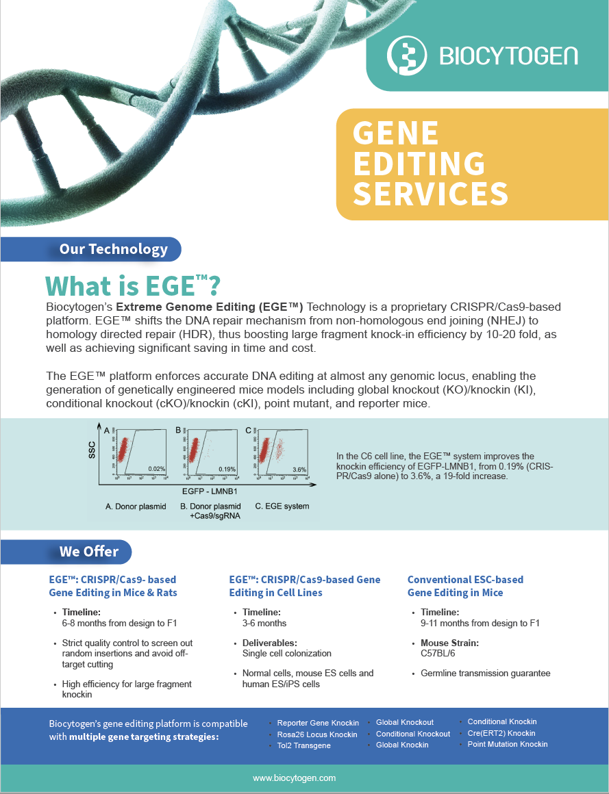 Gene Editing Service Brochure