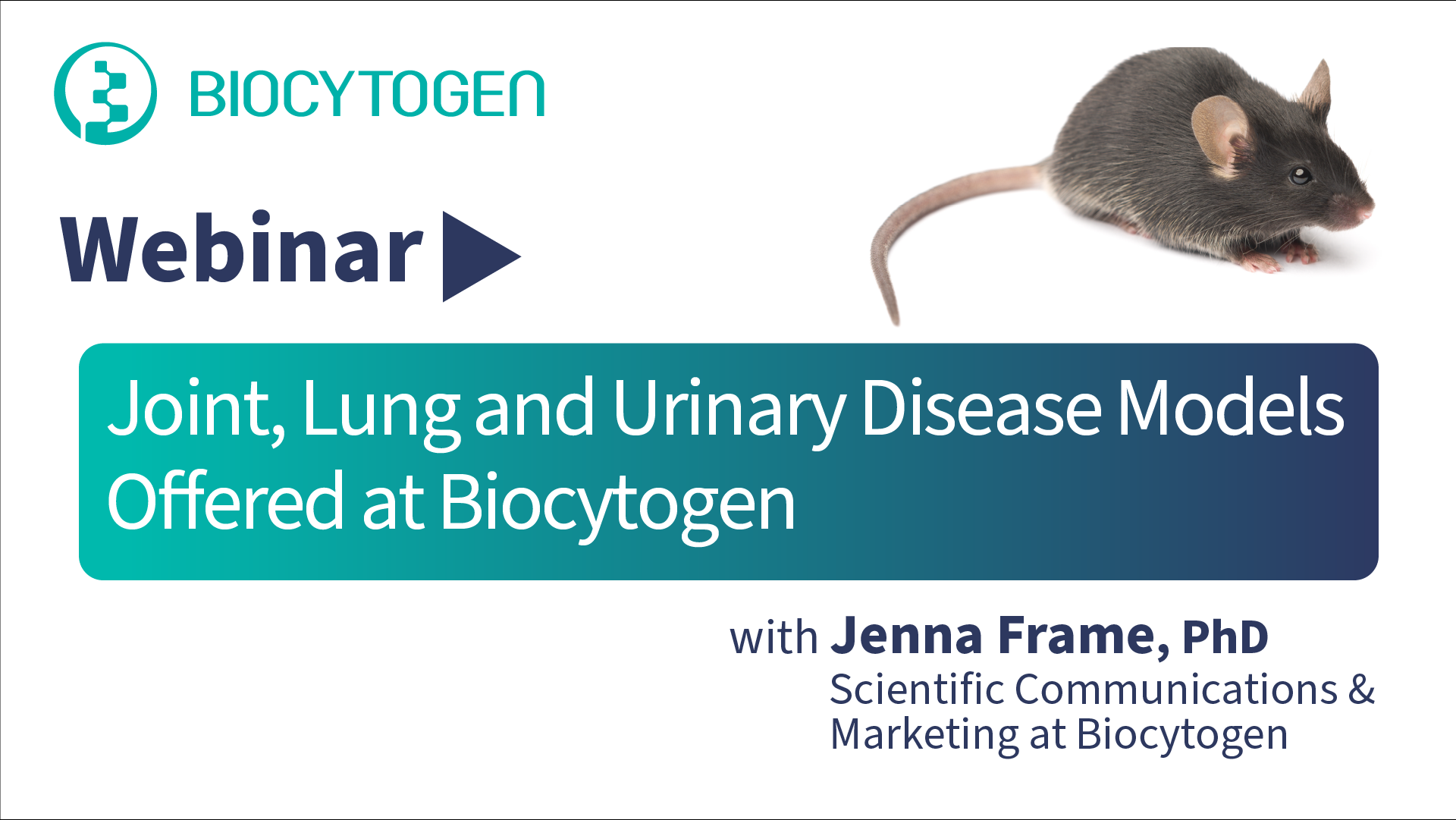 Joint, Lung, and Urinary Disease Models Offered at Biocytogen
