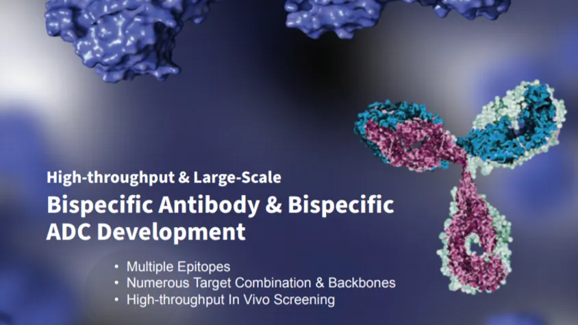 Bispecific Antibody & Bispecific ADC Brochure