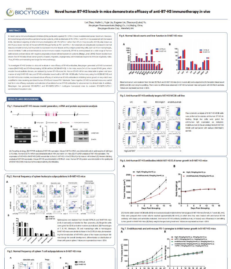 Novel human B7-H3 knock-in mice demonstrate efficacy of anti-B7-H3 ...
