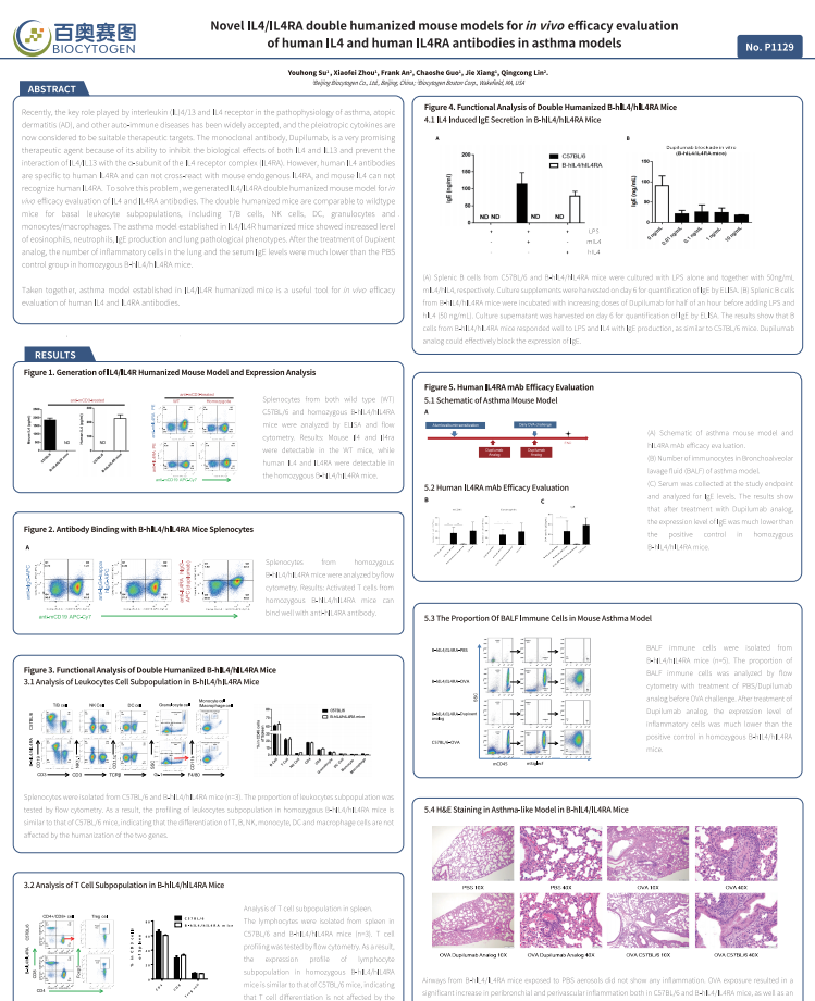 Novel IL4/IL4RA double humanized mouse models for in vivo efficacy ...