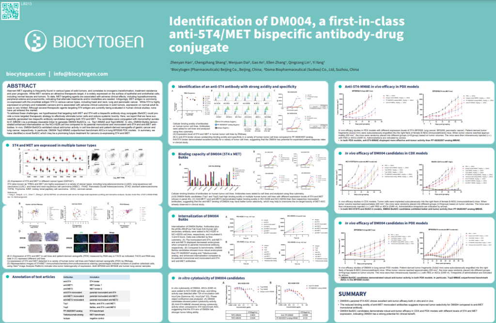 AACR 2023: Identification of DM004, A First-In-Class Anti-5T4/MET Bispecific Antibody-Drug Conjugate