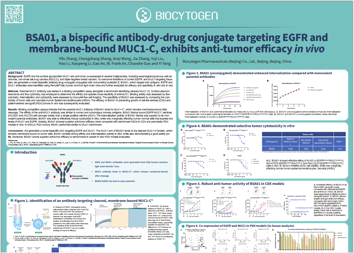 SITC 2023: BSA01, a Bispecific Antibody-drug Conjugate Targeting EGFR and Membrane-bound MUC1-C ...