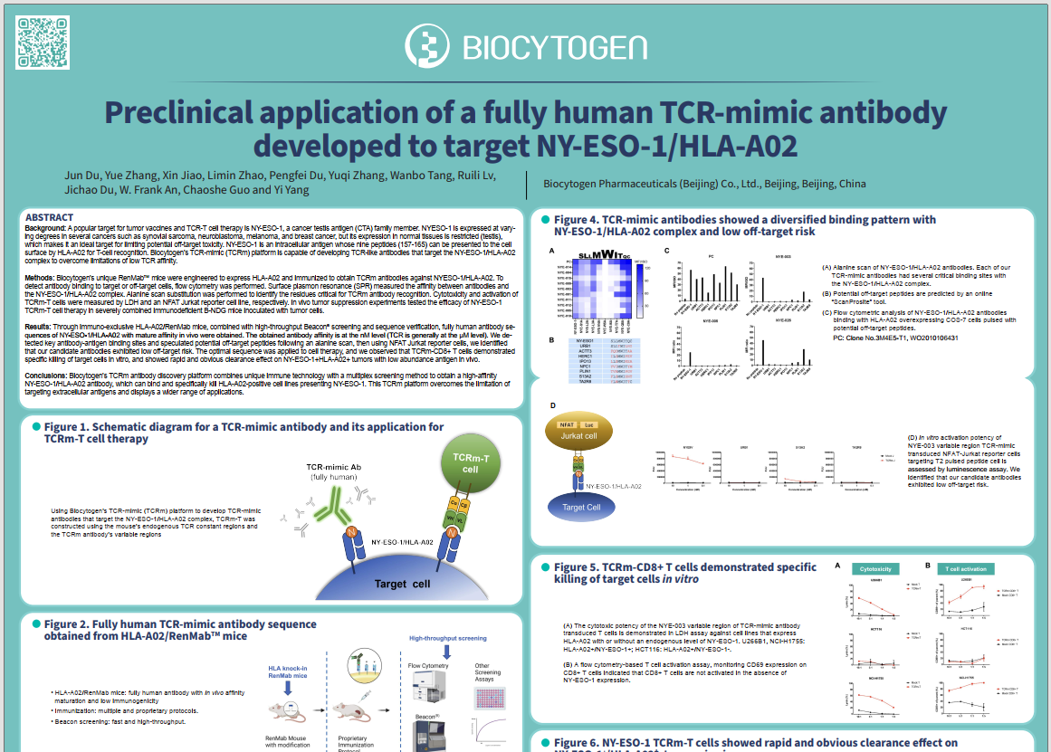 SITC 2023: Preclinical Application of a Fully Human TCR-mimic Antibody ...