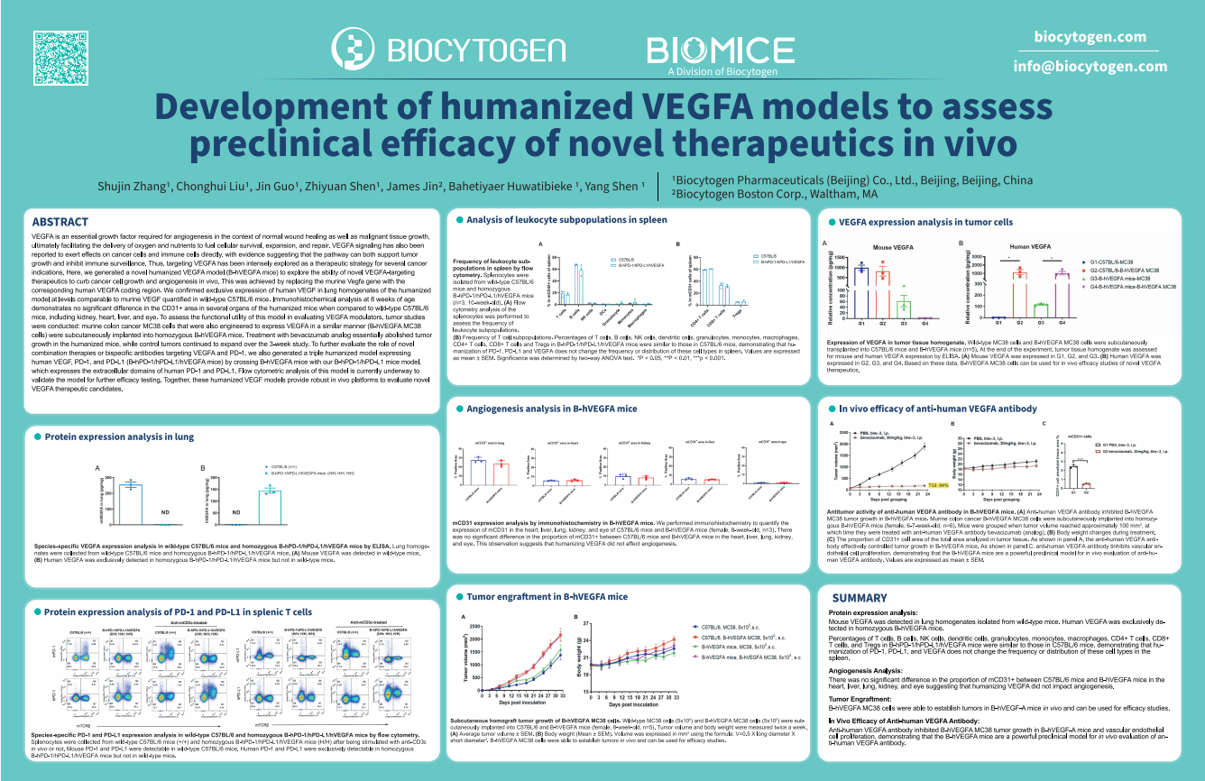 AACR 2024: Development of humanized VEGFA models to assess preclinical ...