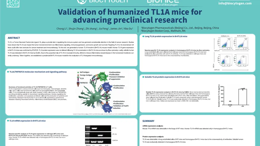 AACR 2024: Validation of humanized TL1A mice for advancing preclinical ...