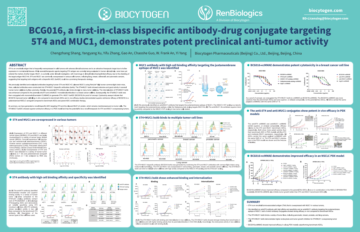 AACR 2024: BCG016, a first-in-class bispecific antibody-drug conjugate targeting 5T4 and MUC1 ...