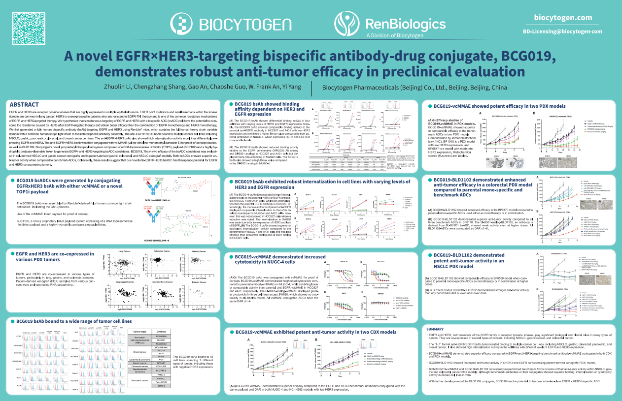 AACR 2024: A novel EGFR×HER3-targeting bispecific antibody drug ...