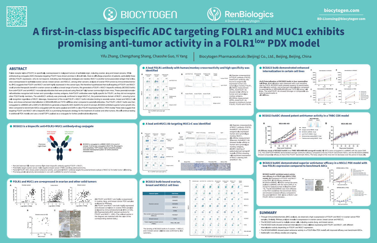 AACR 2024: A first-in-class bispecific ADC targeting FOLR1 and MUC1 exhibits promising anti ...
