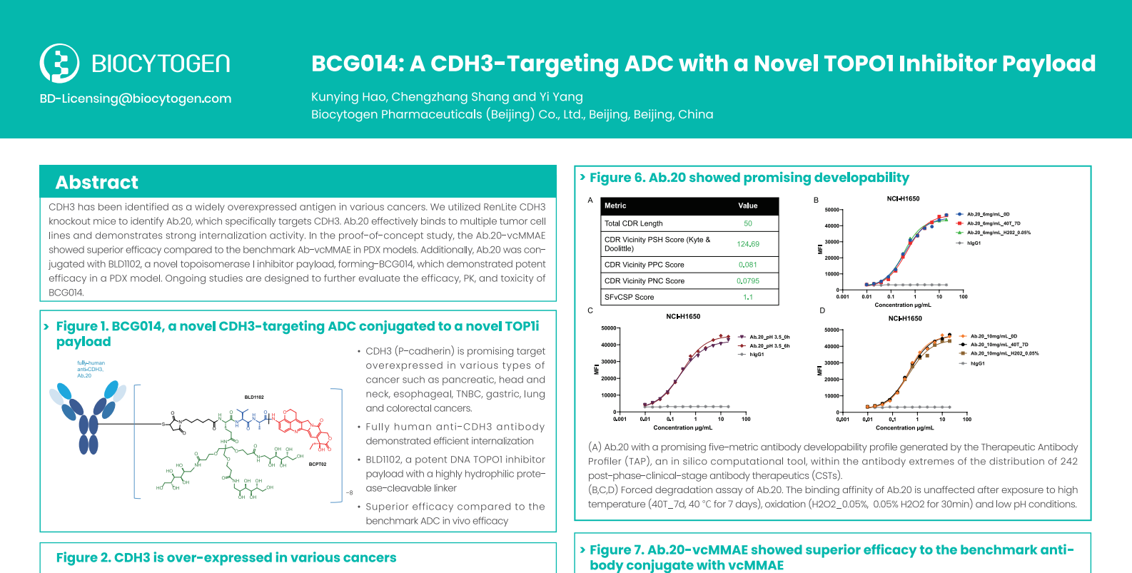 BCG014: A CDH3-Targeting ADC with a Novel TOPO1 Inhibitor Payload