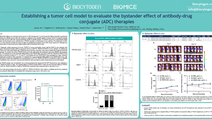 SITC 2024: Establishing a tumor cell model to evaluate the bystander ...