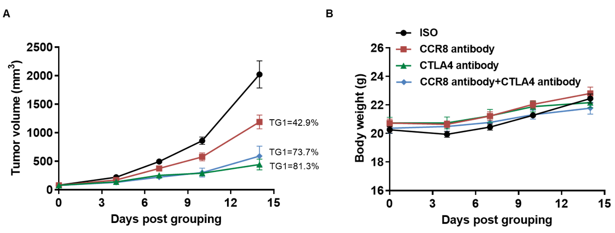 Nobel Spotlight 2025: Regulatory T Cells Driving Next-Generation ...