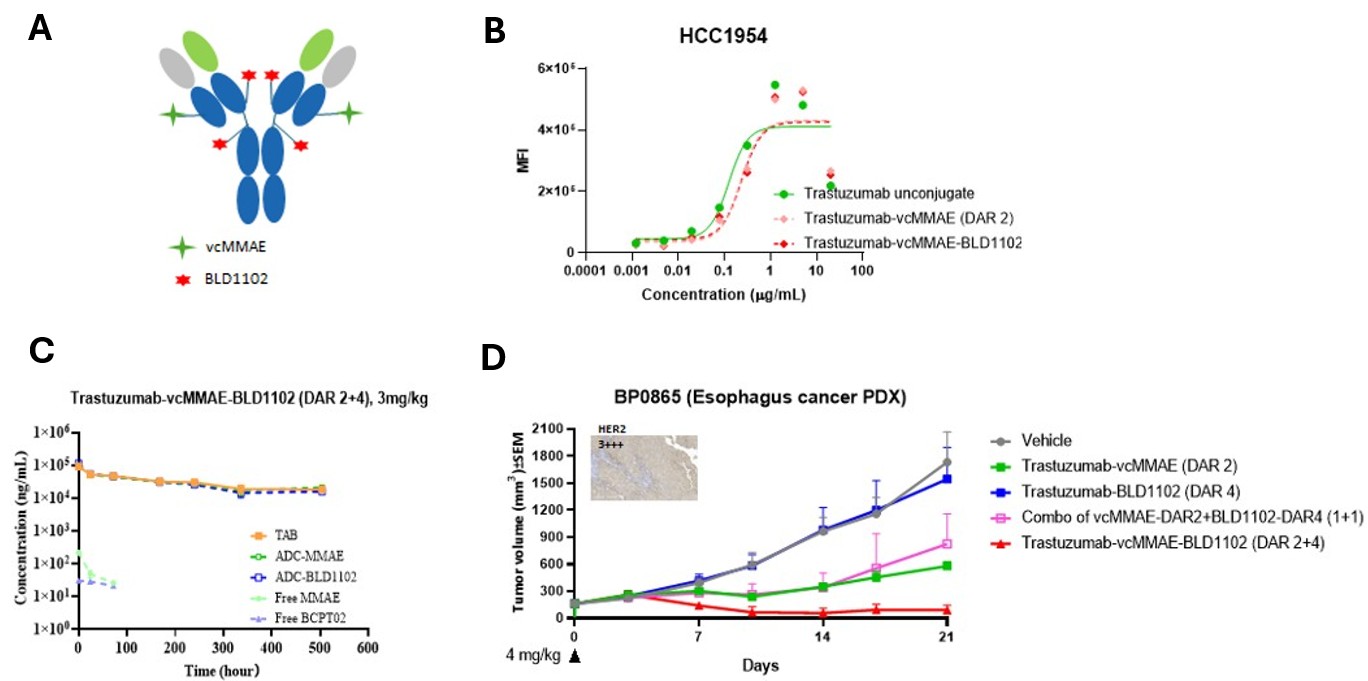 Overcoming Tumor Resistance and Heterogeneity: The Power of Dual ...