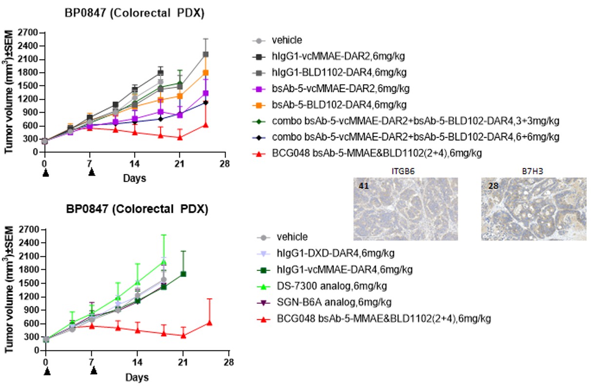 Overcoming Tumor Resistance and Heterogeneity: The Power of Dual ...