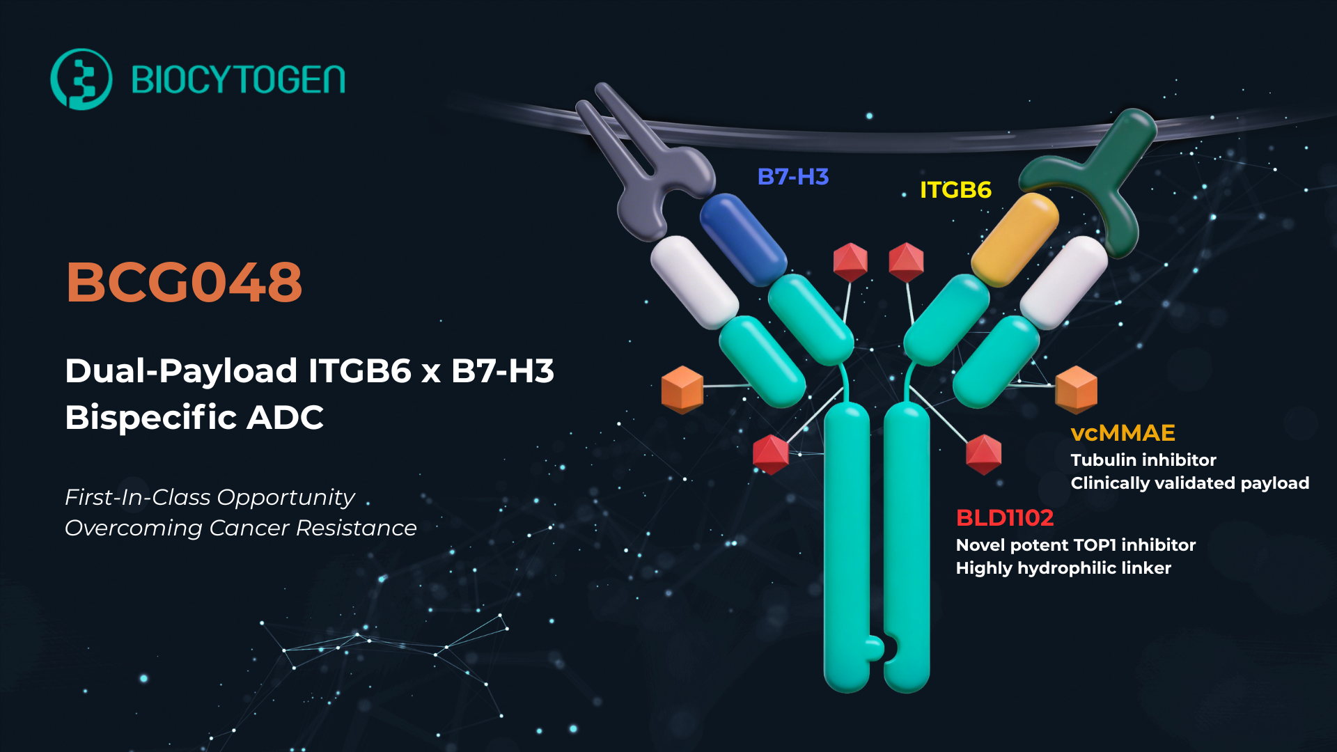 Overcoming Tumor Resistance and Heterogeneity: The Power of Dual ...