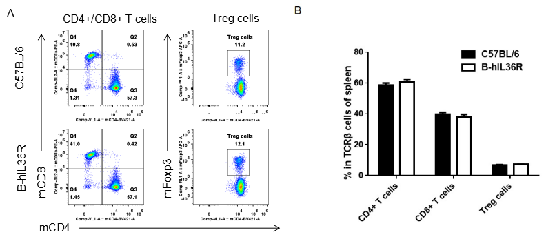 罕见型银屑病治疗新时代，靶向IL-36R研究已就位