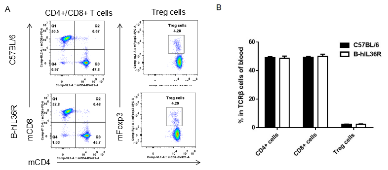 罕见型银屑病治疗新时代，靶向IL-36R研究已就位