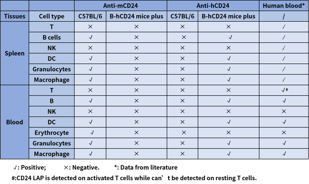 CD24：后起之秀，没有血液毒性的天然免疫检查点