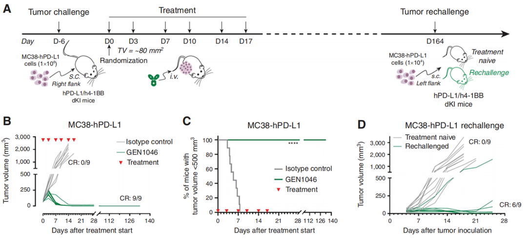 CANCER DISCOVERY | PD-L1×4-1BB双抗：GEN1046，攻坚免疫治疗耐药