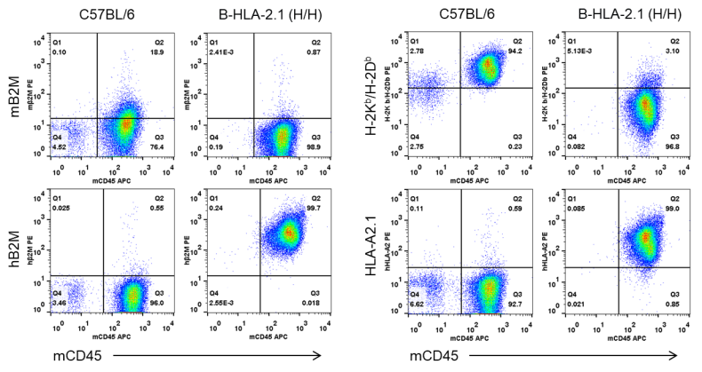 基因“身份证”--人类白细胞抗原：HLA