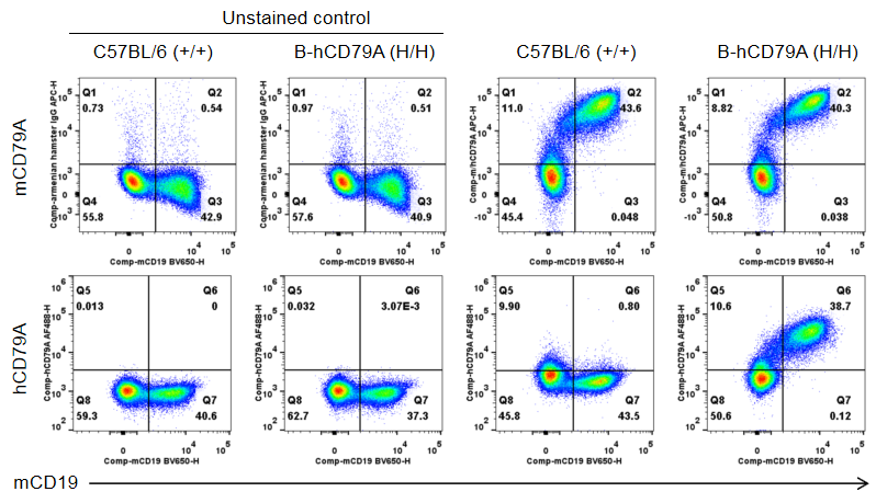 创新靶点CD79精准破局，引领肿瘤治疗新航道~