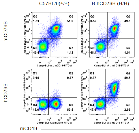 创新靶点CD79精准破局，引领肿瘤治疗新航道~