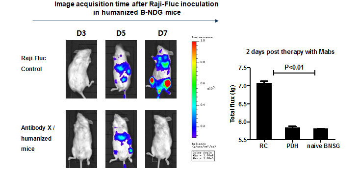 鼠鼠我啊~拥有了人的免疫系统