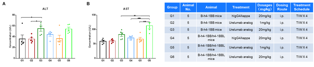4-1BB激动剂担心肝毒性？没关系，4-1BB系列人源化小鼠来帮你