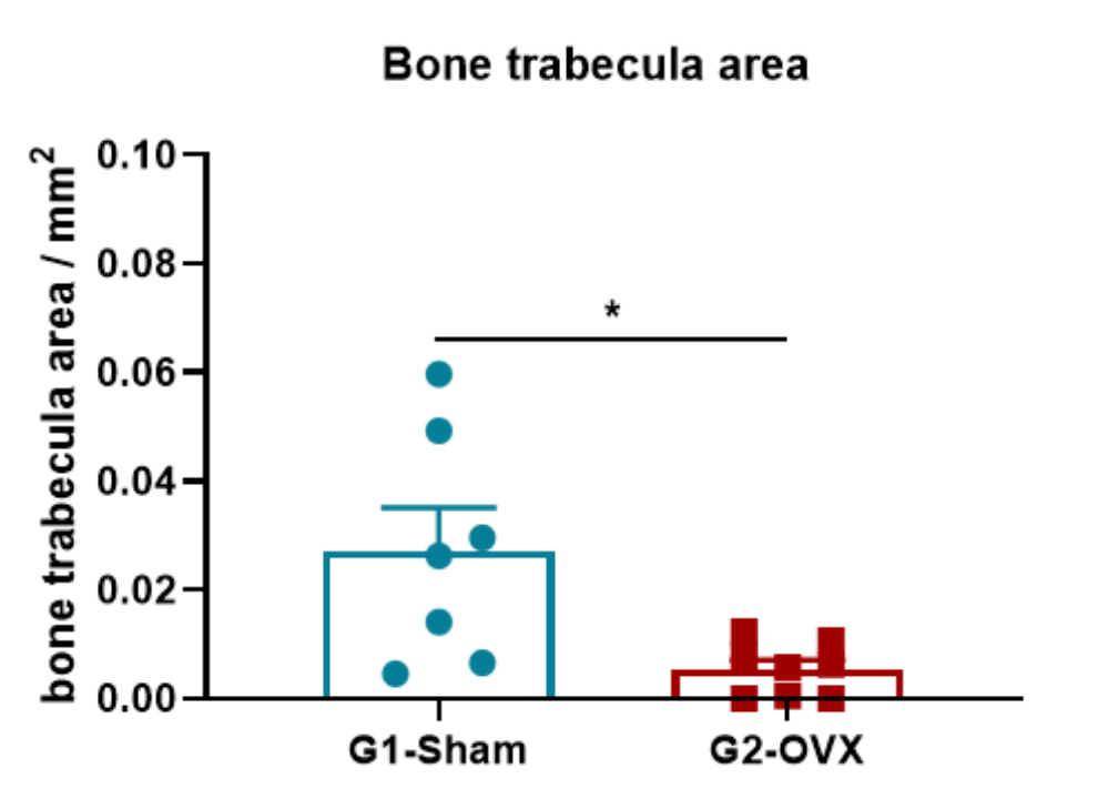 骨质疏松症小鼠模型携手Micro-CT助力“骨矿银行”