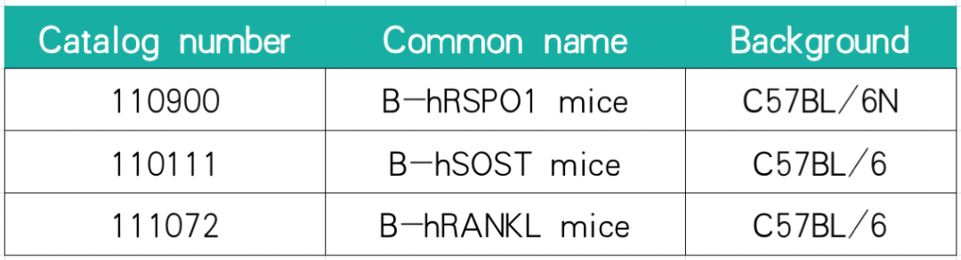 骨质疏松症小鼠模型携手Micro-CT助力“骨矿银行”