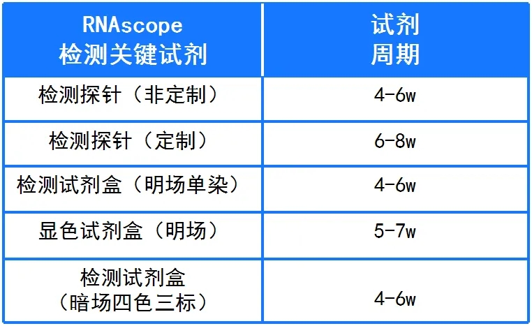 【病理专题】RNAscope技术介绍及应用