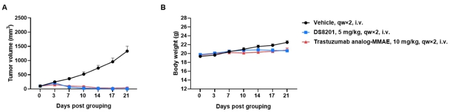 首个HER2双抗获批，HER2 SO HOT！