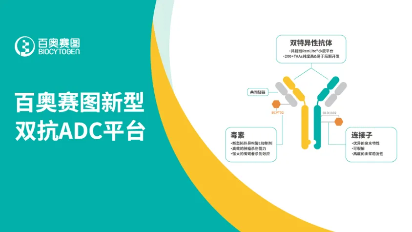 百奥赛图祝贺合作伙伴多玛医药双抗ADC DM001获得美国FDA IND批准