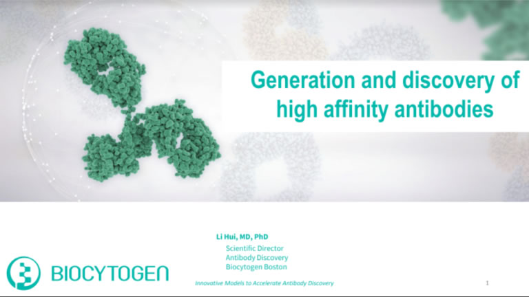 Generation and discovery of high affinity antibodies