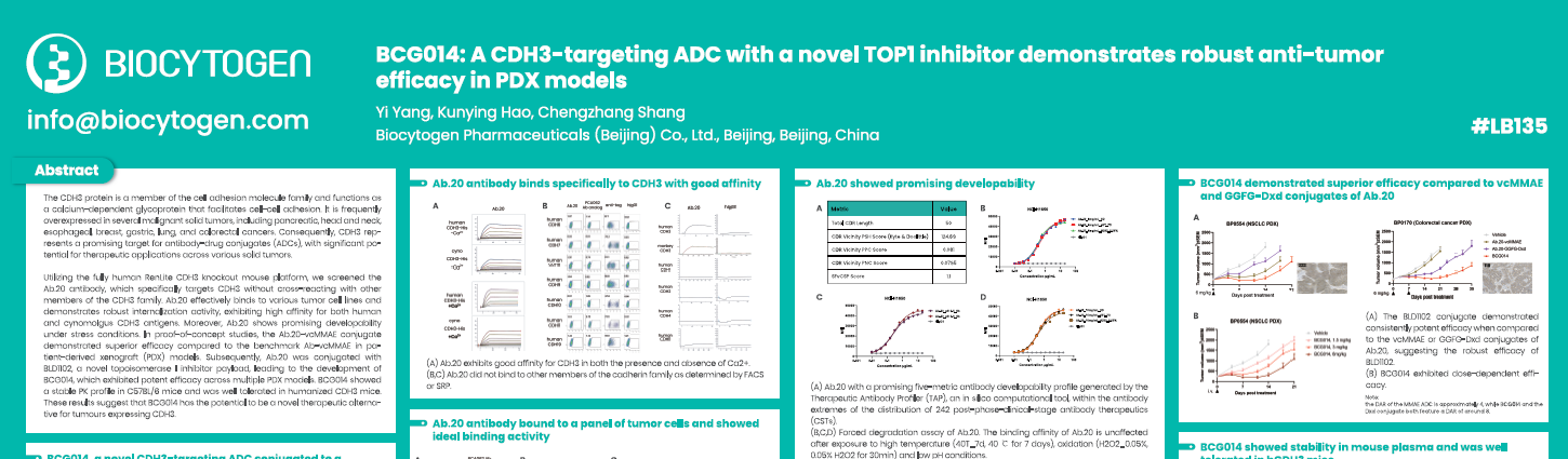 AACR 2025: BCG014: A CDH3-targeting ADC with a novel TOP1 inhibitor ...