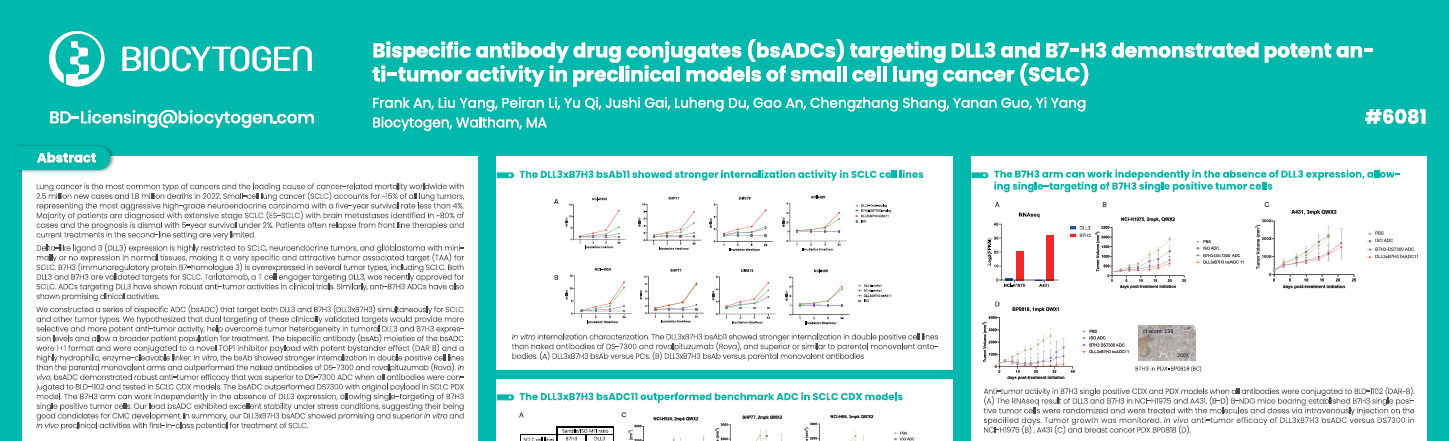 AACR 2025: Bispecific antibody drug conjugates (bsADCs) targeting DLL3 ...