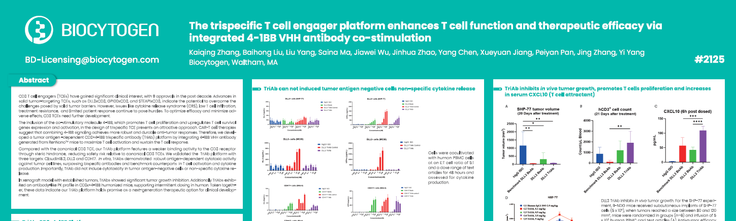 AACR 2025: The trispecific T cell engager platform enhances T cell ...