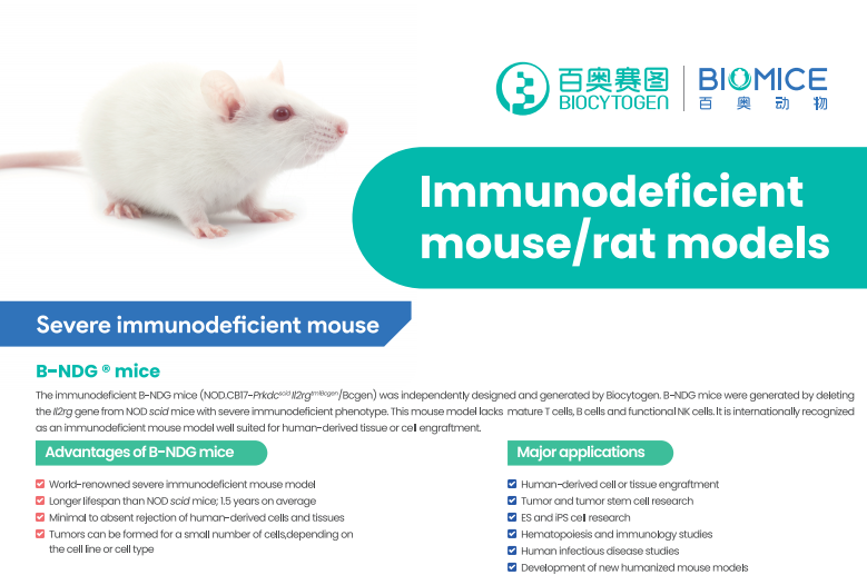 Immunodeficient mouse/rat models