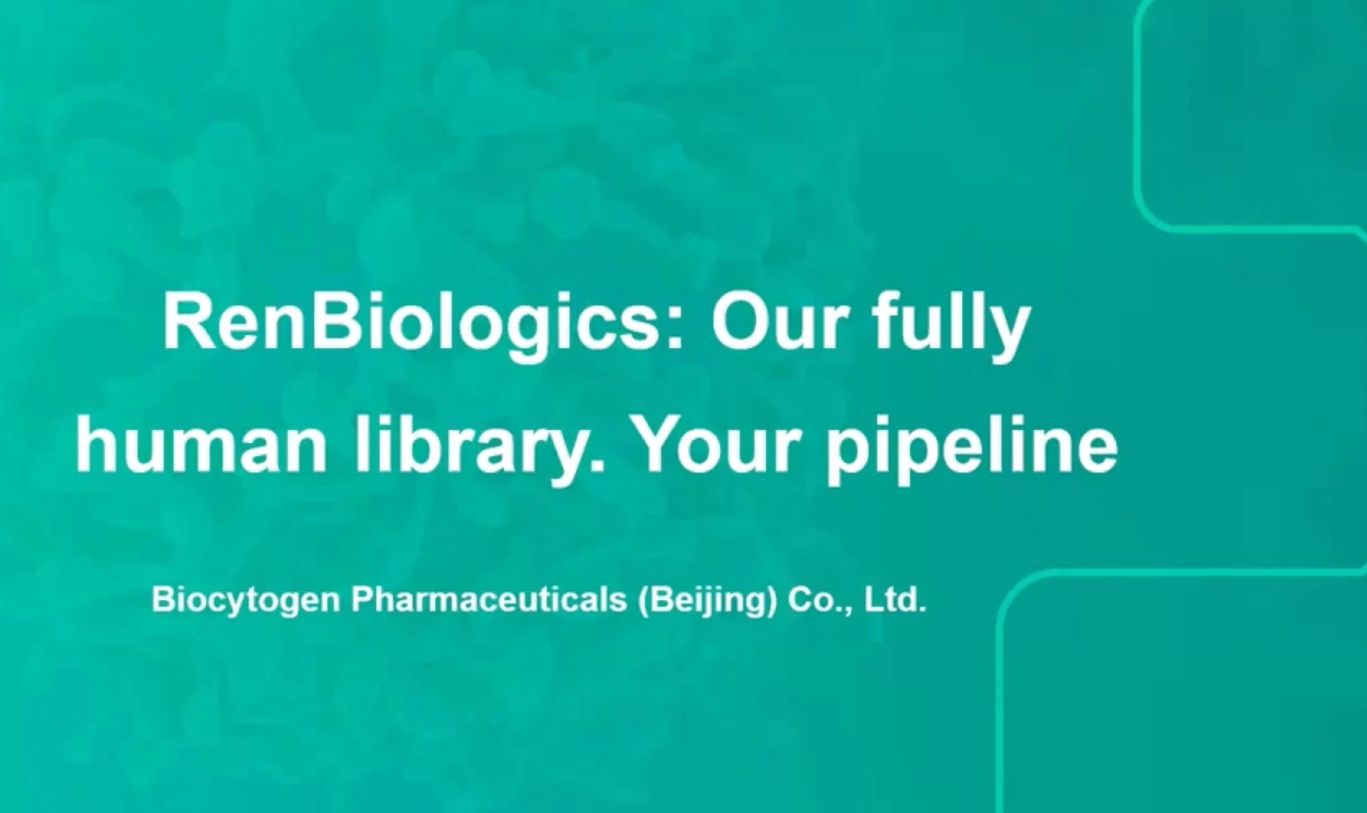 TCR-mimic antibody discovery platform based on Biocytogen’s fully human ...