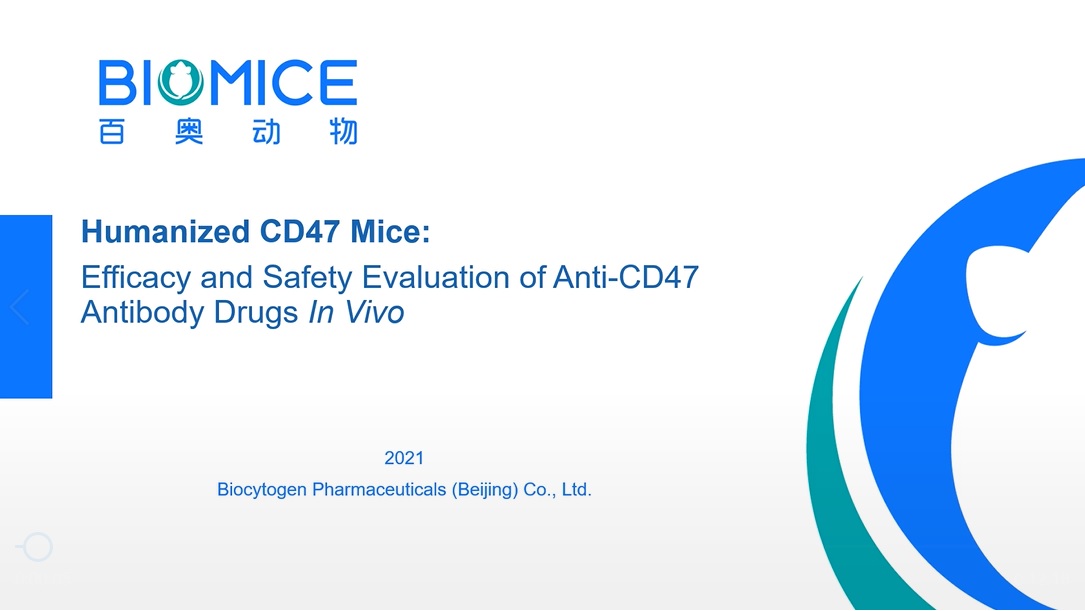 Humanized CD47 Mice: Efficacy and Safety Evaluation of Anti-CD47 Antibody Drugs In Vivo