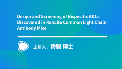 Design and Screening of Bispecific ADCs Discovered in RenLite Common ...