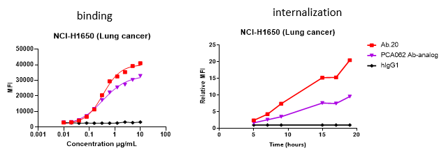 Preclinical CRO, Animal Models & Human Antibodies | Biocytogen